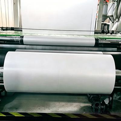 China High Tear Resistance PE Film with Superior Water Barrier and Anti-static Treatment for Dental Sheet Lamination for sale