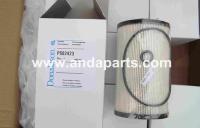 China GOOD QUALITY FUEL FILTER P502423 for sale