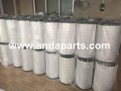China GOOD QUALITY  AIR FILTER 5001865723 for sale