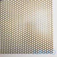 China SS Architectural Perforated Metal Ceiling Panels 1mm-4mm Thickness for Modern Decoration & Building Facades for sale