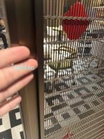 China Architectural Woven Metal Mesh Decorative Panels Stainless Steel 0.8-2.0mm Wire for Facades Ceilings Interiors for sale