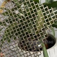 China Architectural Mesh 5.5mm Thickness 10mm Hole Decorative Wire Netting for Facades Sunshades for sale