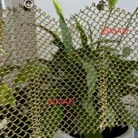 China Privacy Screen Decorative Wire Mesh  Architectural Facade Mesh Spiral Decorative for sale