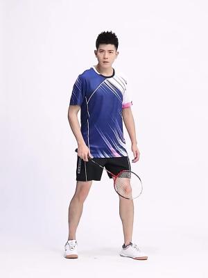China New Badminton Quick Drying Sports Suit , Summer Fashion Competition Culottes Short Sleeve for sale