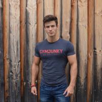 China custom Short T shirt Sportswear Fitness Gyms top  Breathable fast dry comfortable Men T-Shirt for sale