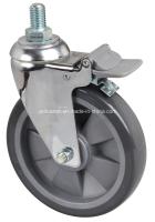 China Bearing Type Ball Bearing 6