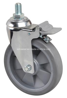 China Bearing Type Ball Bearing 6