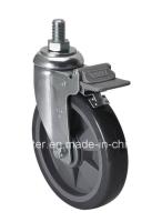 China Edl Medium 6