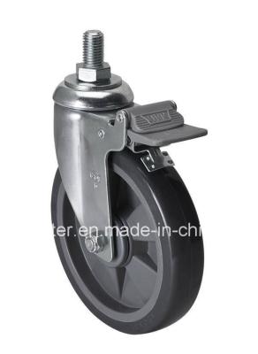 China Edl Medium 6