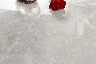 China Noise Reduction Porcelain Floor Tile 600x600mm to 1200x600mm | Marble Look Waterproof Non-Toxic for sale