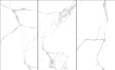China Chemical Resistant Exterior Porcelain Tile 300×600mm V4 Slip Rating with Substantial Variation for sale
