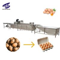China Maisheng Egg Washing Machine Large Production Capacity Industrial Egg Cleaning Machine Stainless Steel Egg Cleaner for sale