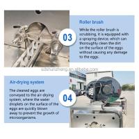 China Maisheng Egg Washing Machine Large Production Capacity Industrial Egg Cleaning Machine Stainless Steel Egg Cleaner for sale