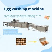 China Maisheng Egg Washing Machine Large Production Capacity Industrial Egg Cleaning Machine Stainless Steel Egg Cleaner for sale