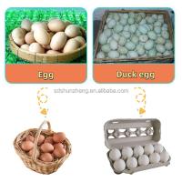 China Maisheng Egg Washing Machine Large Production Capacity Industrial Egg Cleaning Machine Stainless Steel Egg Cleaner for sale