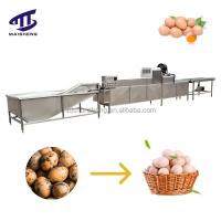 China Maisheng Egg Washing Machine Automatic Egg Washing Equipment Stainless Steel Egg Cleaning Machine Line for sale