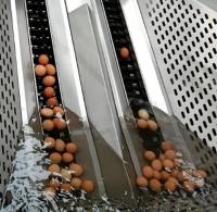 China Maisheng Food Processing Machinery Parts-Egg Washing and Air Drying Production Line Egg Washing Machine Equipment for sale