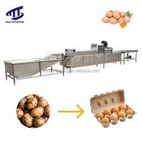 China Maisheng Industrial Egg Processing Machine Electronic Egg Grader Egg Washing Machine for sale