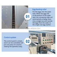 China Maisheng Industrial Egg Processing Machine Electronic Egg Grader Egg Washing Machine for sale
