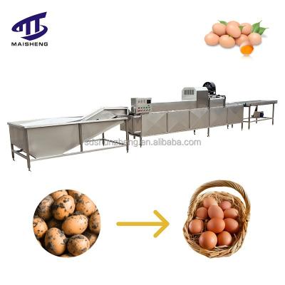 China Automatic Egg White and Yolk Separating Processing Line Efficient Egg Washing and Drying Machinery for Industrial Equipment for sale