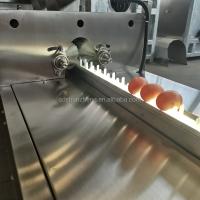 China Automatic Egg White and Yolk Separating Processing Line Efficient Egg Washing and Drying Machinery for Industrial Equipment for sale