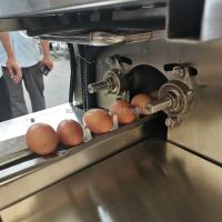 China Automatic Egg White and Yolk Separating Processing Line Efficient Egg Washing and Drying Machinery for Industrial Equipment for sale