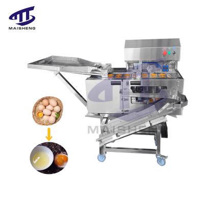 China Egg Yolk Separator Machine Automatic Egg White and Yolk Extractor for Liquid Egg Processing for sale