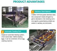 China Egg Yolk Separator Machine Automatic Egg White and Yolk Extractor for Liquid Egg Processing for sale