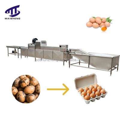 China Maisheng Egg Washing Equipment Line Egg Washing Drying Grading Machine Egg Brush Washer Line for sale