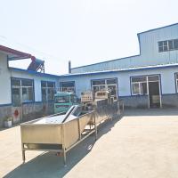 China Maisheng Egg Washing Equipment Line Egg Washing Drying Grading Machine Egg Brush Washer Line for sale