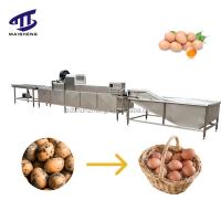 China Maisheng Industrial Egg Cleaning Equipment Chicken Egg Shell Cleaner Egg Brush Washer Processing Line for sale