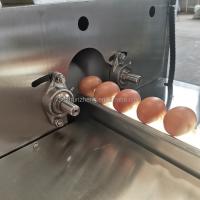 China Automatic Egg White and Egg Cleaner Machine for Washing and Drying Food Processing Machinery Part for sale