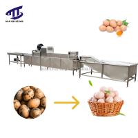 China Durable Duck Egg Washing Machine Selective Egg Cleaning Equipment at Prices Food Processing Machinery Part for sale