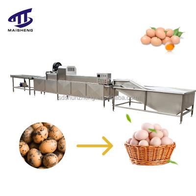 China Durable Duck Egg Washing Machine Selective Egg Cleaning Equipment at Prices Food Processing Machinery Part for sale