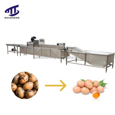 China High-Efficiency Egg Processing Equipment White and Yolk Manufacturing Machinery for Egg Washing Line Food Processing for sale