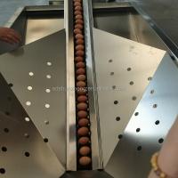 China Custom Logo Egg Washing Air Drying Production Line Steel 304 Stainless Steel Gearbox Equipment for Restaurant Bakery for sale