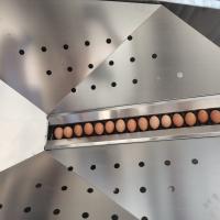 China New Egg Washing Air Drying Production Line 304 Stainless Steel for Bakeries Hotels Excellent for Food Processing Engine High for sale