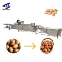China Durable Duck Egg Washer Processing Machinery with New Used Motor Pump for Farm Restaurant Retail Flour Mill Industries for sale