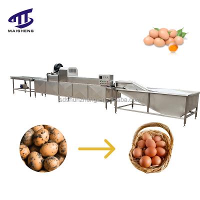 China Durable Duck Egg Washer Processing Machinery with New Used Motor Pump for Farm Restaurant Retail Flour Mill Industries for sale