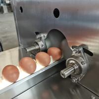 China Durable Duck Egg Washer Processing Machinery with New Used Motor Pump for Farm Restaurant Retail Flour Mill Industries for sale