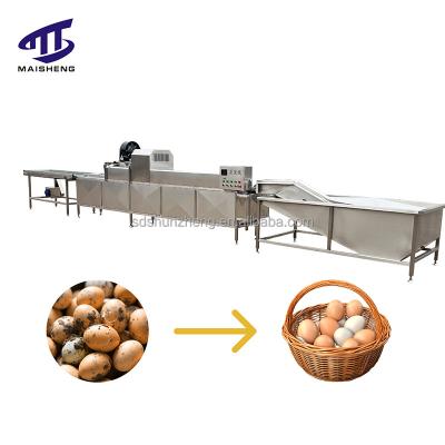 China New Steel Egg Washing & Processing Equipment for Bakeries Hotels Food Shops for Meat Manufacturing Plants Core Components Engine for sale