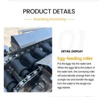 China High Efficiency Egg Washer and Dryer Line Egg Drying Machine Chicken Eggs Washing Machine for sale