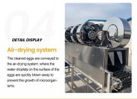 China High Efficiency Egg Washer and Dryer Line Egg Drying Machine Chicken Eggs Washing Machine for sale