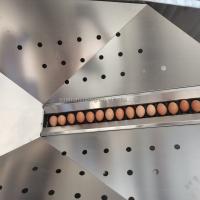 China New Egg Processing Equipment for White Yolk Manufacturing Core Pump for Egg Washing Line in Bakery Food Processing Condition New for sale