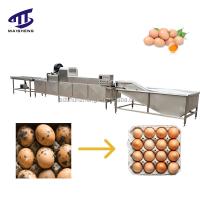 China Efficient Industrial Equipment Automatic Egg White Yolk Separator Egg Washing & Drying Processing Line for Meat for sale