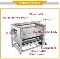 China Industrial Fruit and Vegetable Washing Machine Diamond Roller Yam Peeling Cleaning Equipment Brush Roller Washer Peeler for sale