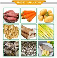 China Industrial Fruit and Vegetable Washing Machine Diamond Roller Yam Peeling Cleaning Equipment Brush Roller Washer Peeler for sale