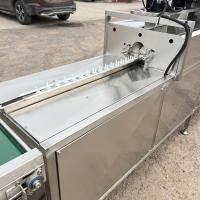 China Automatic Industrial Egg Washer Drier Steel Machine for Meat Processing for Farm Bakery with Engine Bearing Core Components for sale