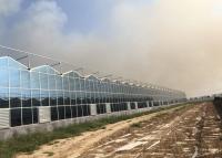 China Continuous-span plastic greenhouse for vegetable cultivation for sale