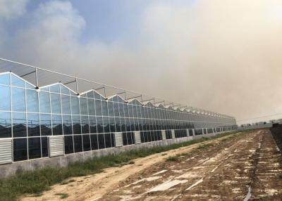 China Continuous-span plastic greenhouse for vegetable cultivation for sale